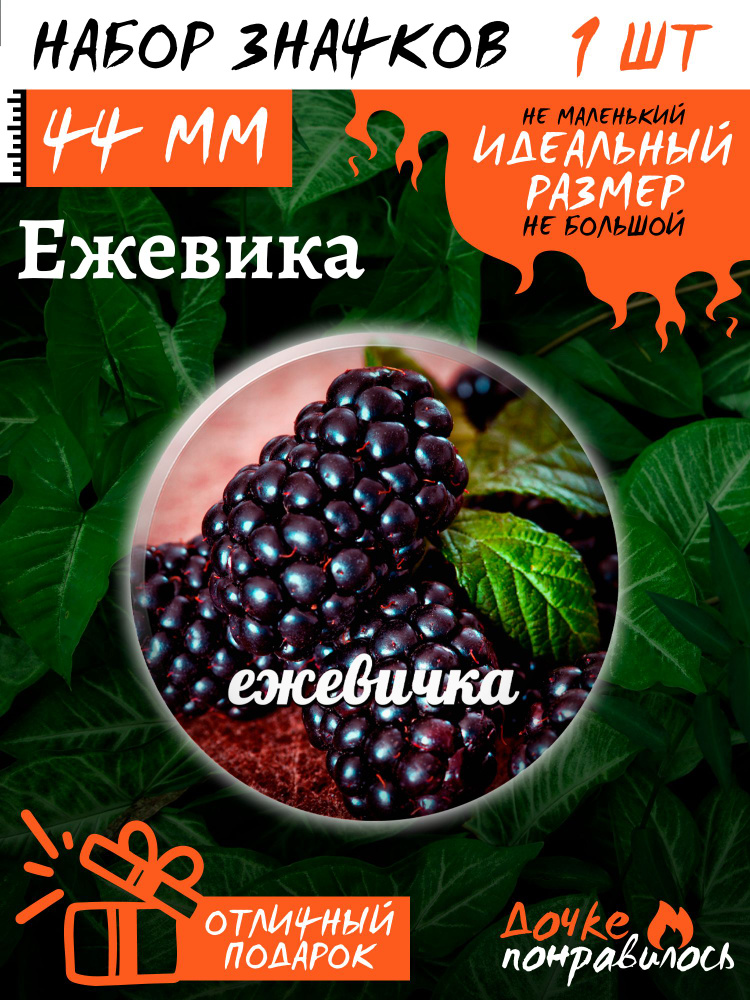 Значок на рюкзак ежевичка - купить с доставкой по выгодным ценам в ...