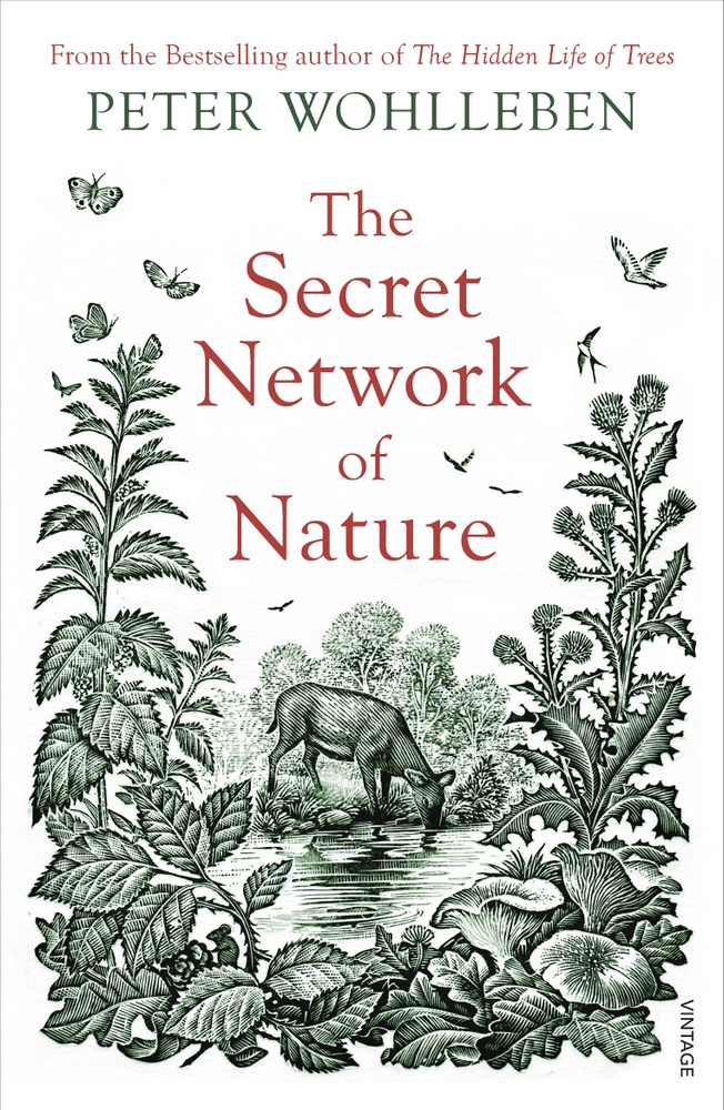 The Secret Network of Nature / Wohlleben Peter / Книга на Английском ...