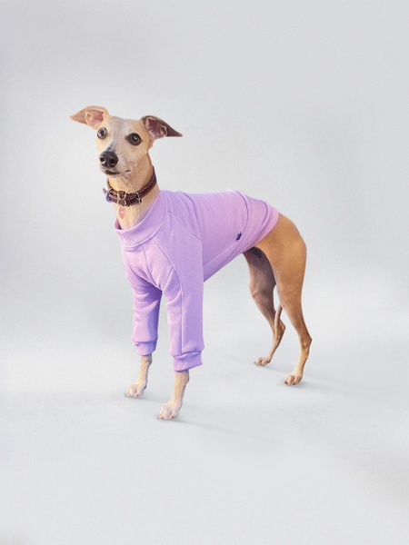 WOOFLER / Свитшот теплый для уиппета, толстовка из футера, подходит для ...