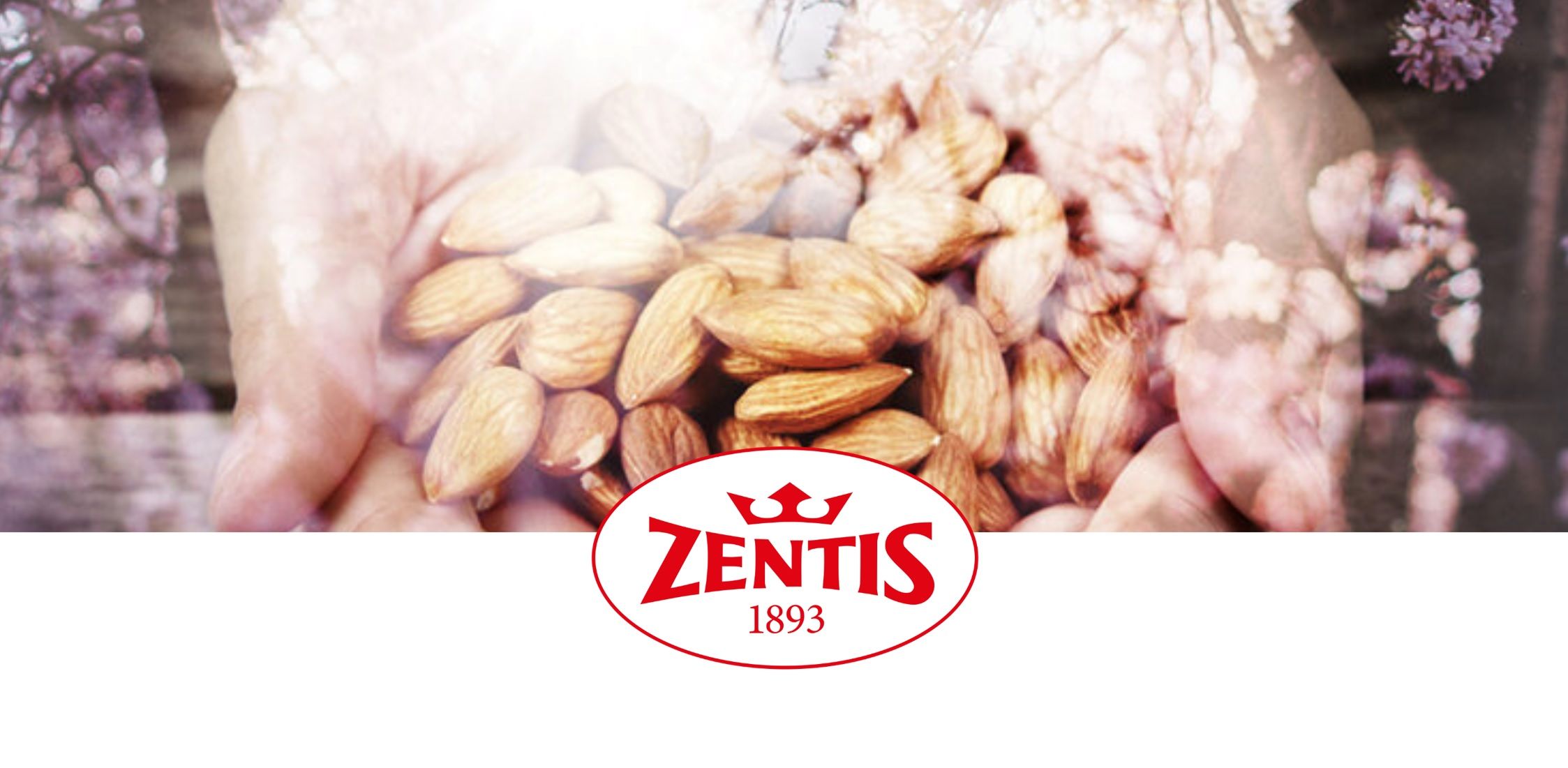 Марципан картошка Zentis 250 грамм - купить с доставкой по выгодным ...