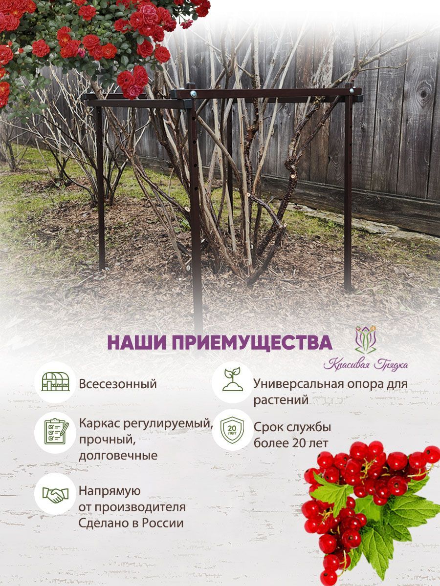 Красивая грядка Опора для растений 60 см металлическая / подпорка ...