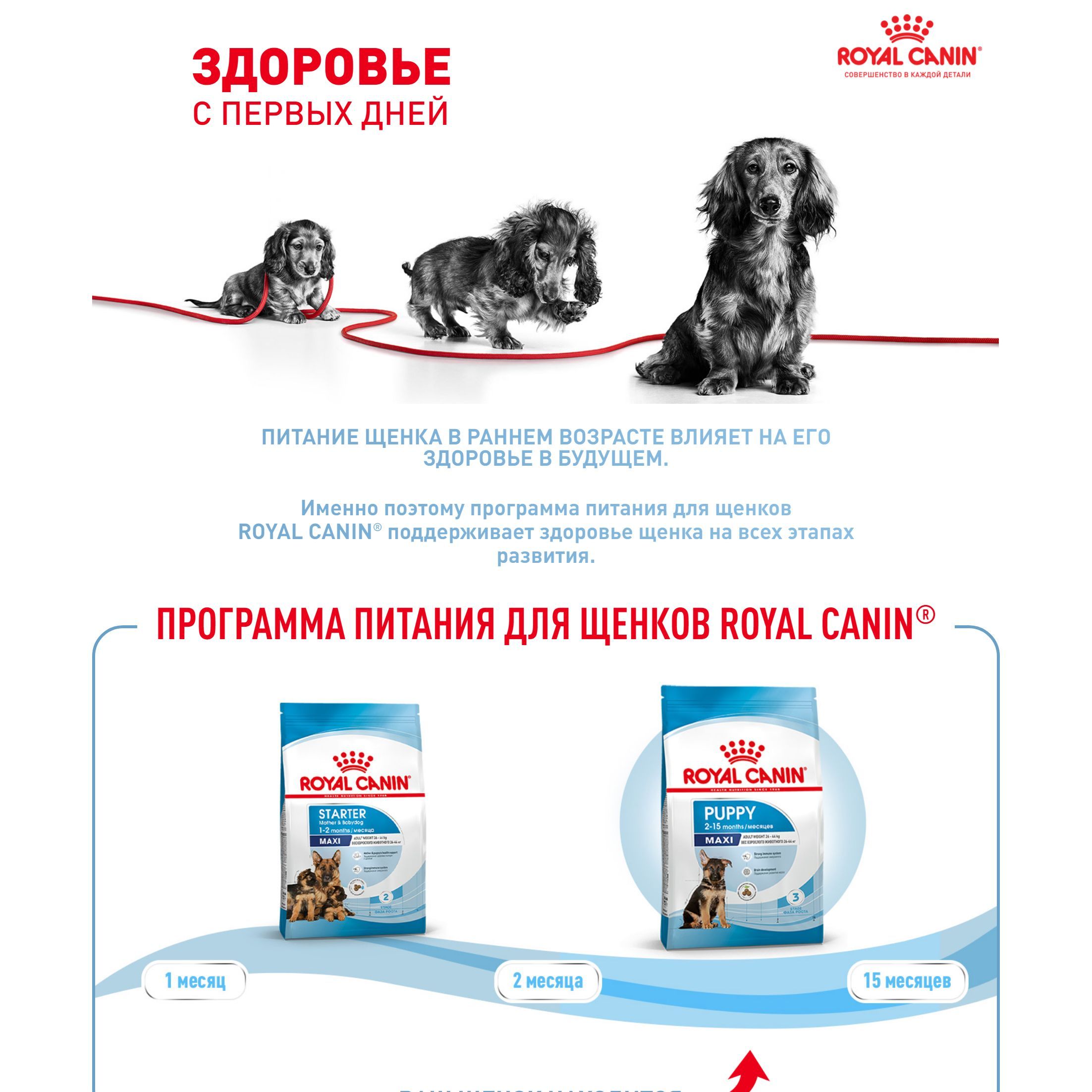 Royal Canin Maxi Puppy (Роял Канин Макси Паппи со вкусом птицы) корм ...