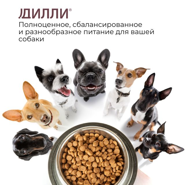Корм сухой для собак Дилли / Рыба и рис, 14 кг. - купить с доставкой по ...