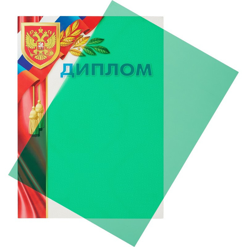 ProMega Обложка для переплета A4 (21 × 29.7 см), листов: 100 купить на ...