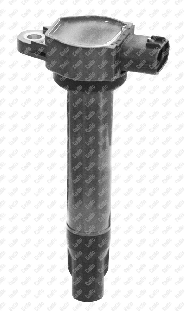 Катушка зажигания Cadic KD-9124C - Cadic арт. KD9124C - купить по выгодной цене в интернет ...