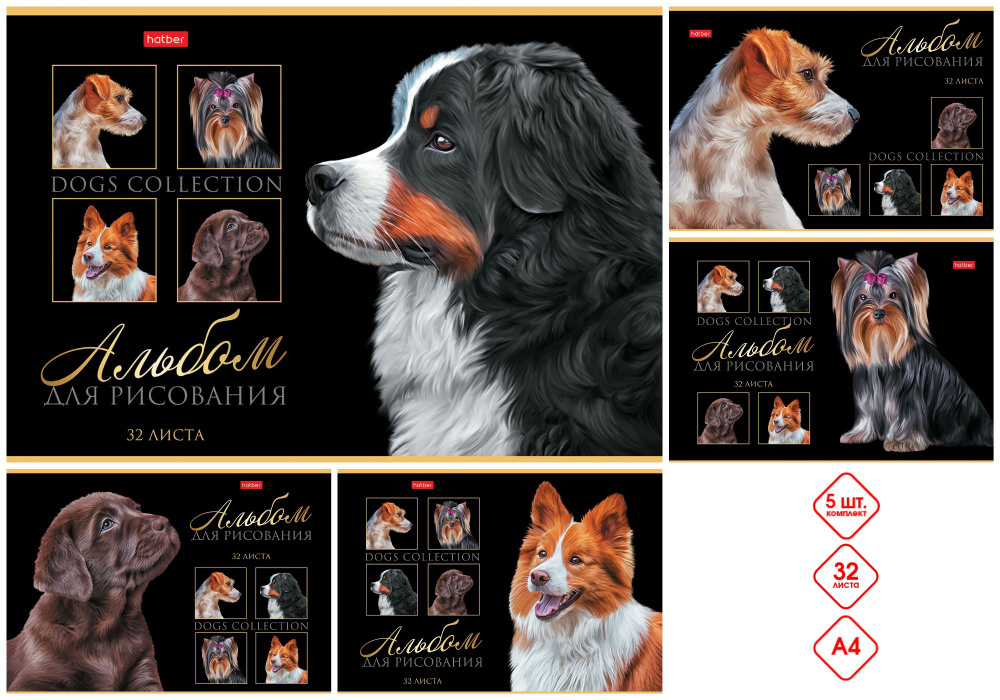 Набор альбомов для рисования Hatber 32 листа, формата А4, на скобе, выборочный лак, 5 штук/5 ...