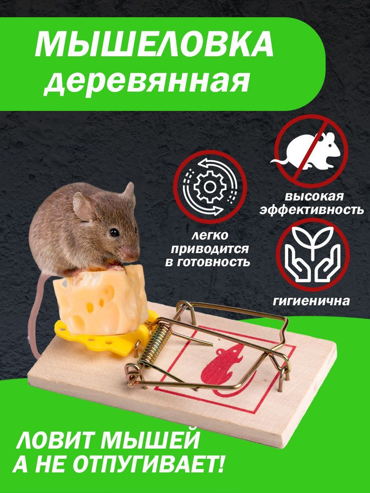 Мышеловка капкан ловушка для мышей купить на OZON по низкой цене ...