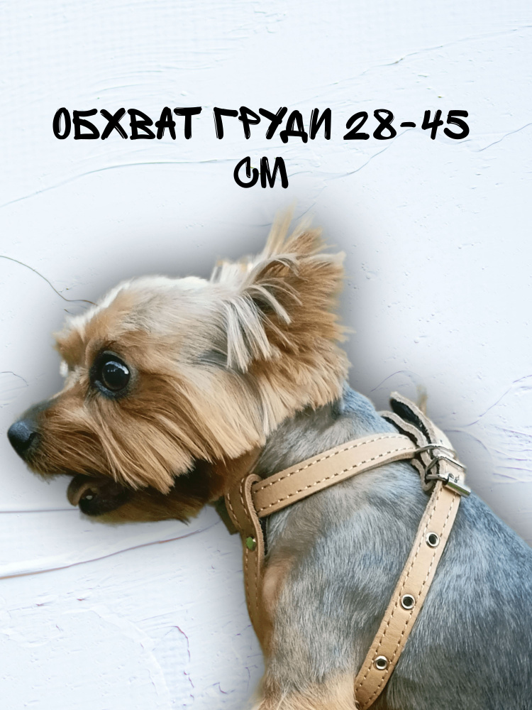 Шлейка для йорка кожаная - купить с доставкой по выгодным ценам в ...