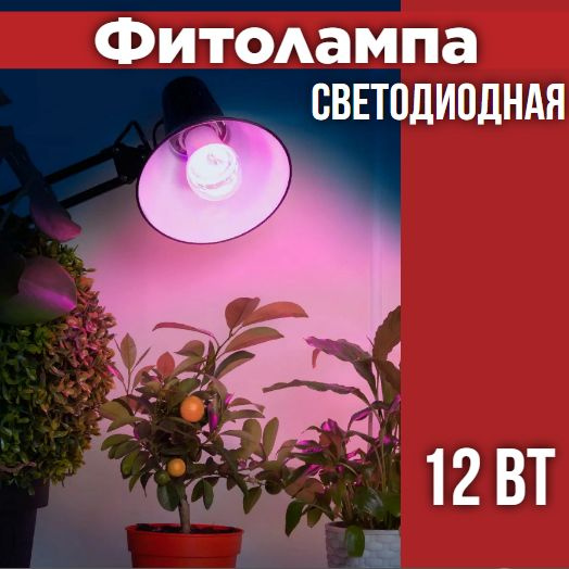Фито лампа LEEK LE FITO LED A60 12W E27 полный спектр для растений,1шт - купить с доставкой по ...