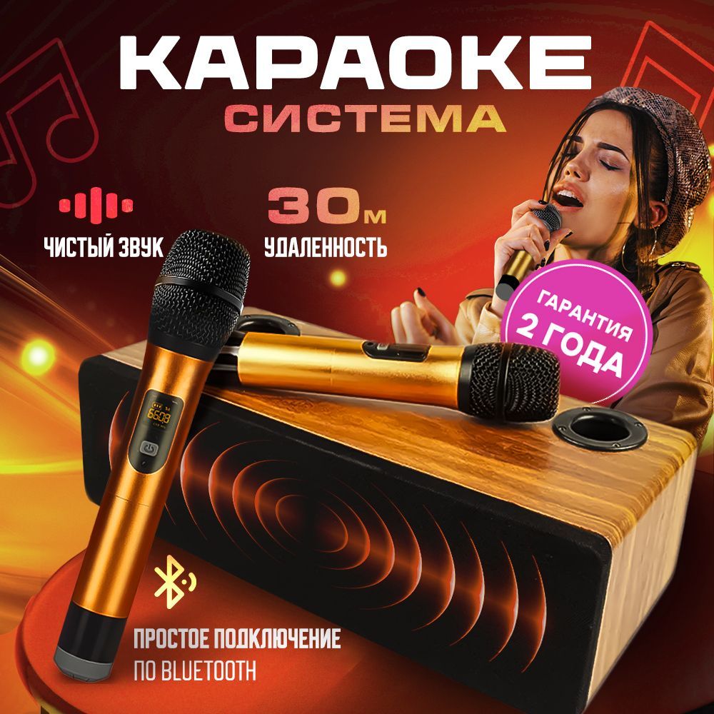 Беспроводная караоке система для дома, 2 микрофона - купить с доставкой ...