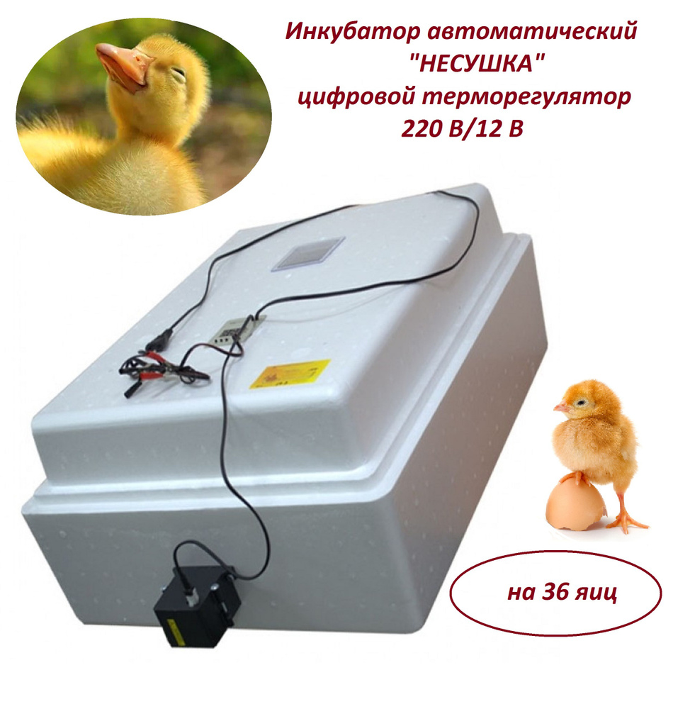 Инкубатор автоматический "Несушка" на 36 яиц, 220 В/12 В, цифровой ...