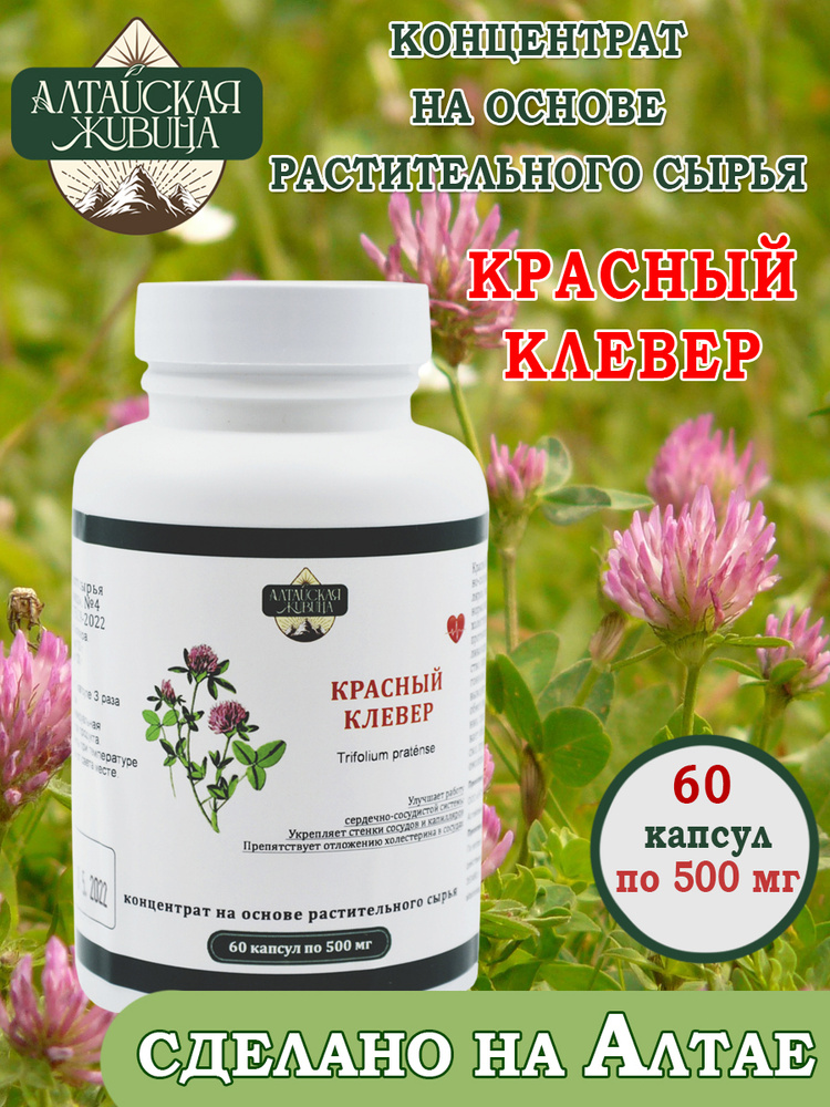 Красный клевер капсулы концентрат на основе растительного сырья Алтая ...