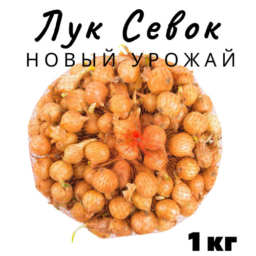 Лук Севок 1 кг купить на OZON по низкой цене (858156942)