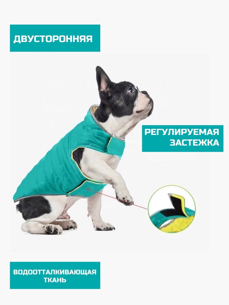 Куртка для собак - купить с доставкой по выгодным ценам в интернет ...