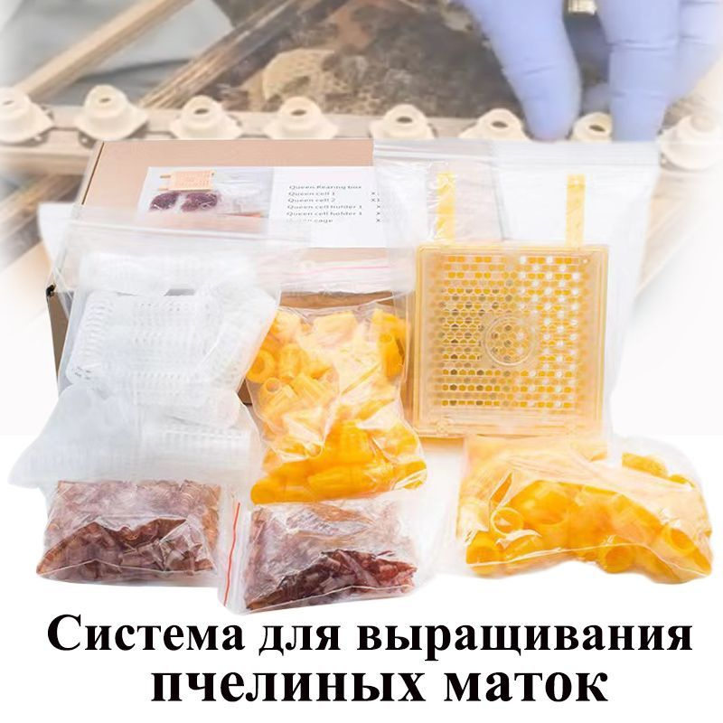 Система для выращивания пчелиных маток - купить с доставкой по выгодным ...
