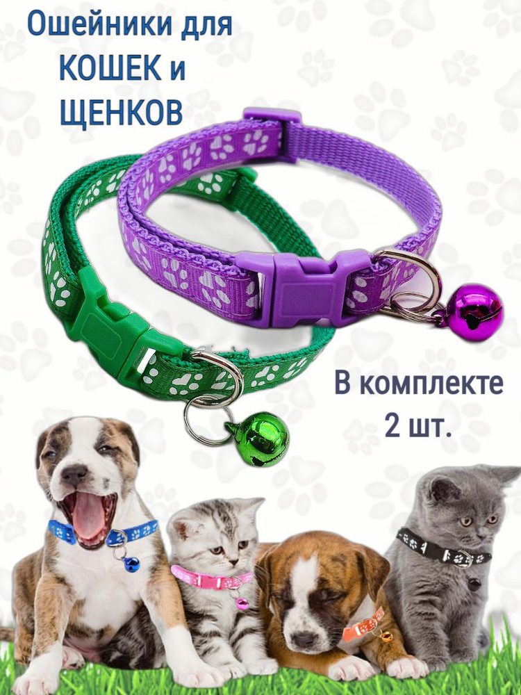 ошейник для щенков, собак мелких пород и кошек - купить с доставкой по ...