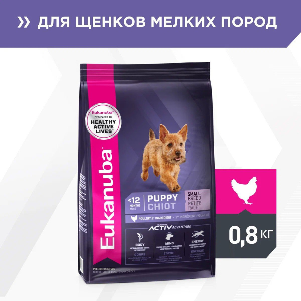 Eukanuba Puppy Small Breed
