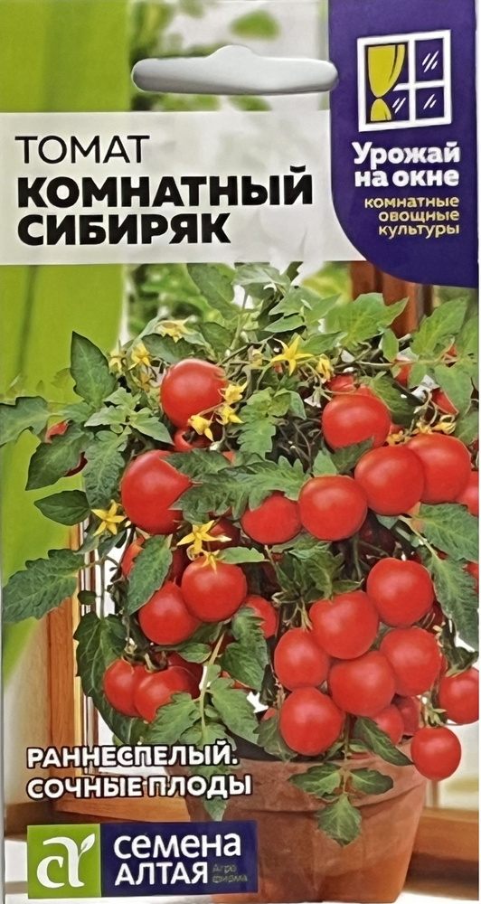 Томаты Семена Алтая Томат Комнатный сибиряк - купить по выгодным ценам ...