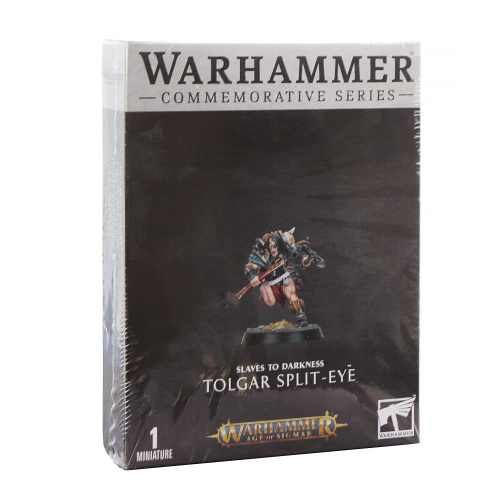 Миниатюры Warhammer Age of Sigmar: Slaves to Darkness - Tolgar Split ...