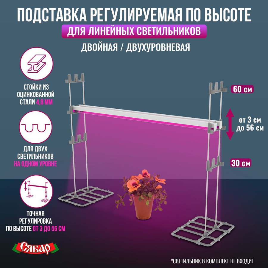 Цветы, растения, горшки – купить цветы растения горшки в интернет ...