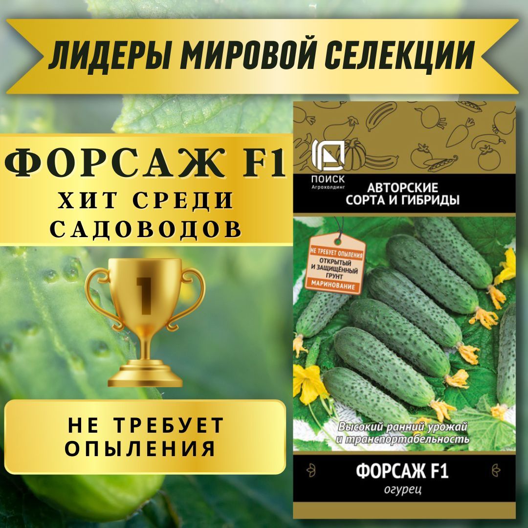 Огурцы ПОИСК Агрохолдинг lidery-ogurec_зеленый_светло-зеленый - купить ...