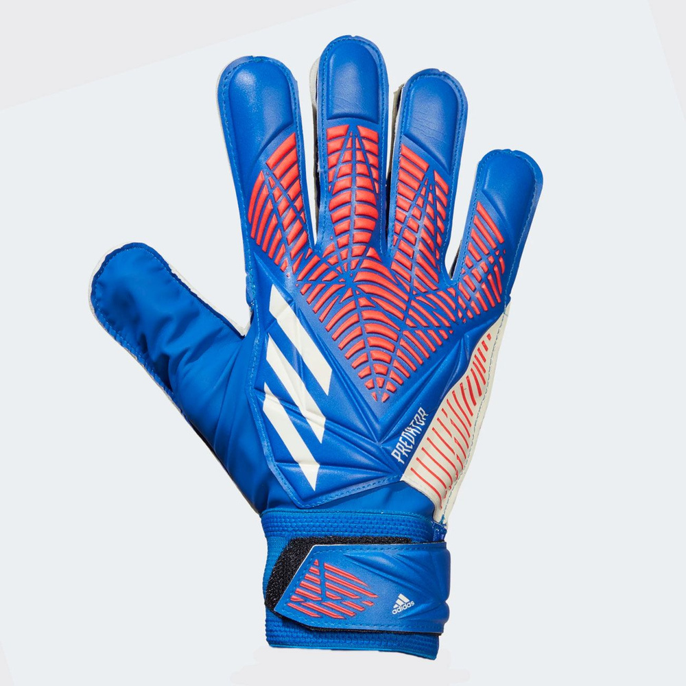 Перчатки вратарские adidas Predator Training - купить с доставкой по ...
