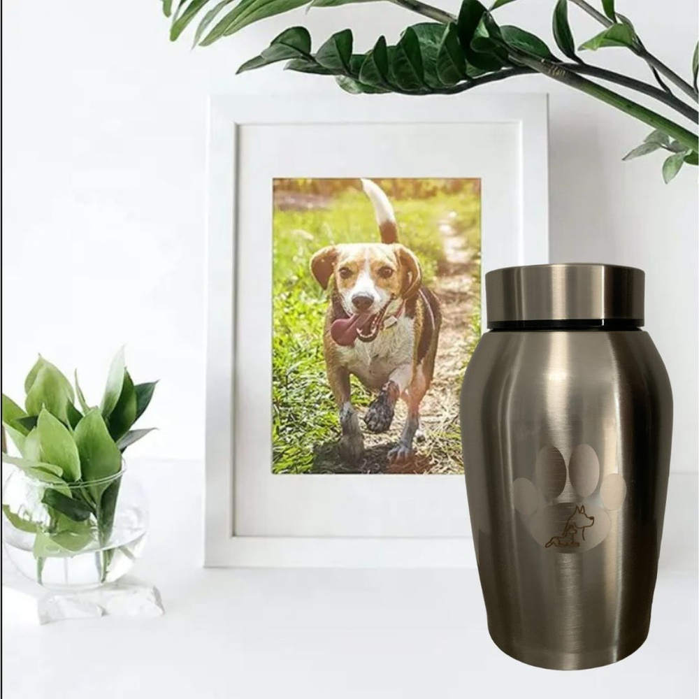 Урна для праха домашних животных, серебристая (Большой размер для собак ...