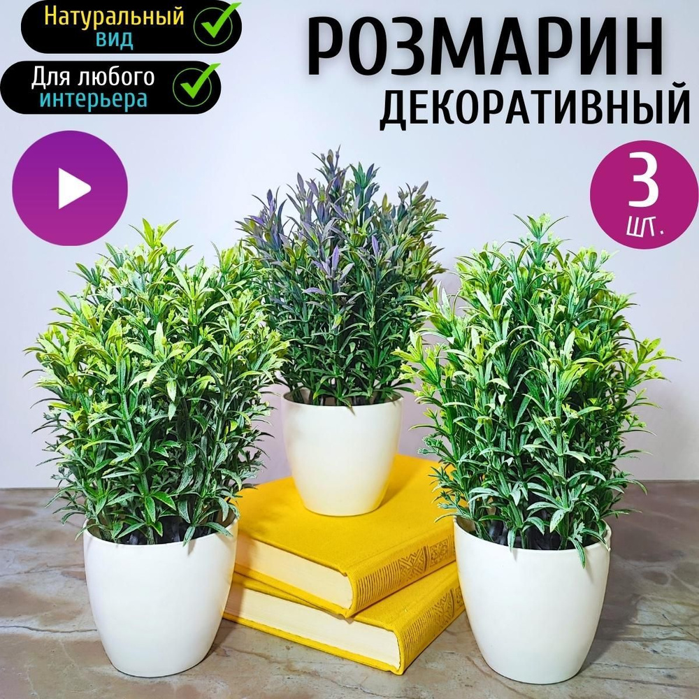 Купить Искусственные цветы Розмарин в горшке. Декоративные цветы в ...