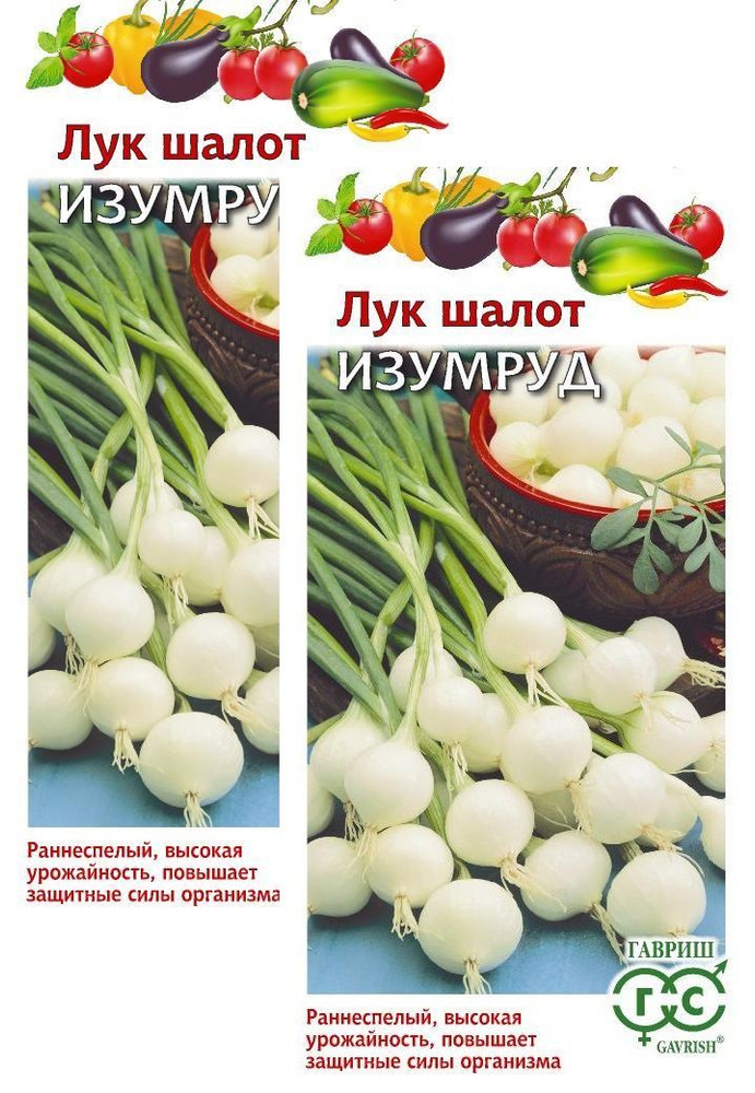 Лук Гавриш Лук шалот Изумруд (0,1 г), 2 пакета - купить по выгодным ...