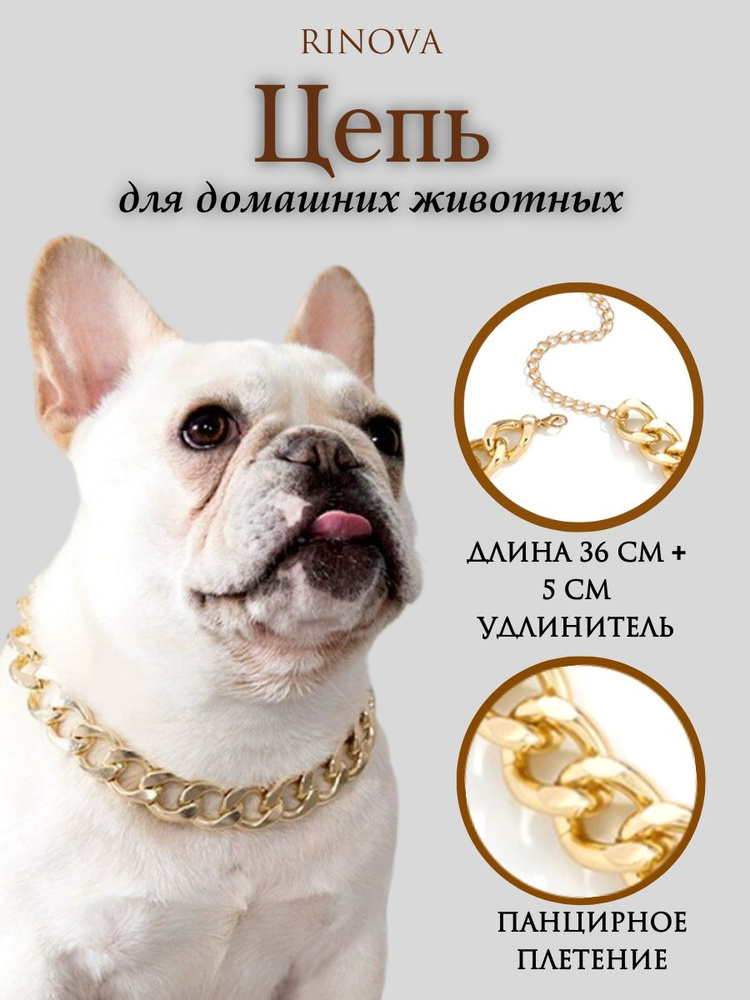 Цепь ошейник для собак и кошек. Цвет под золото. - купить с доставкой ...