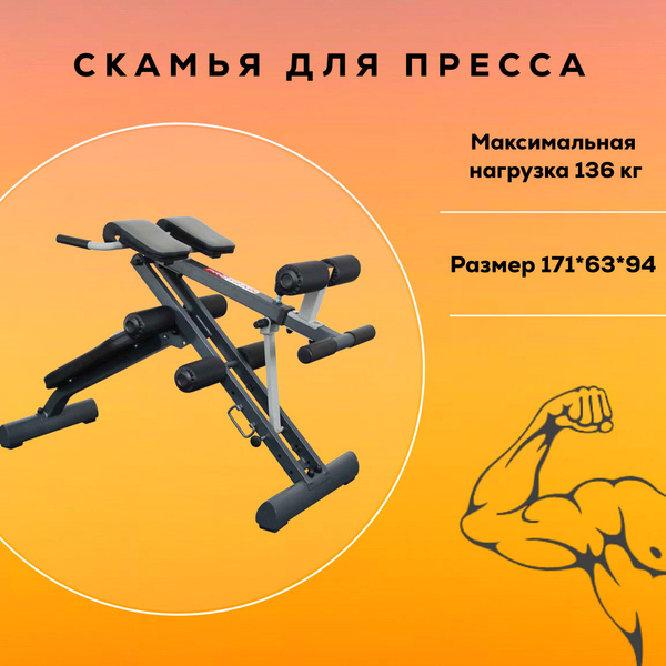 Скамья для пресса / гиперэкстензия PROTRAIN IMCT купить на OZON по низкой цене (655969591)