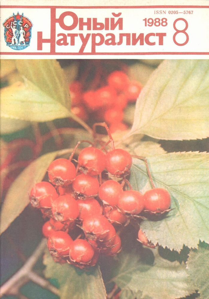 Журнал "Юный натуралист" 1988 №8 купить по низким ценам в интернет ...