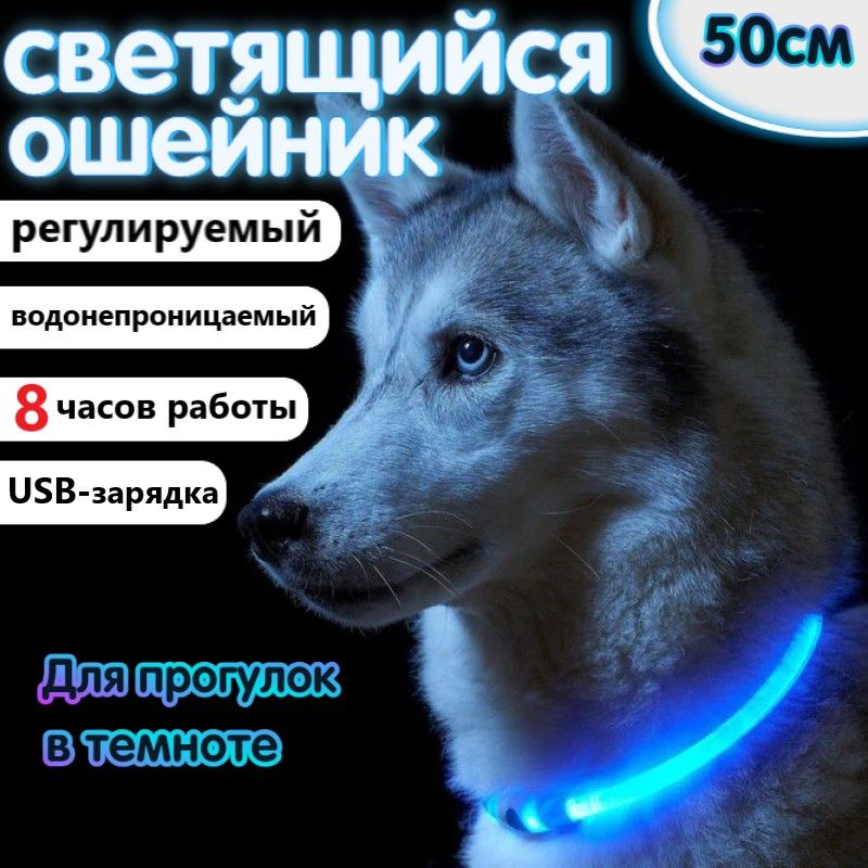 Светящийся ошейник для собак с зарядкой Usb регулировкой длины