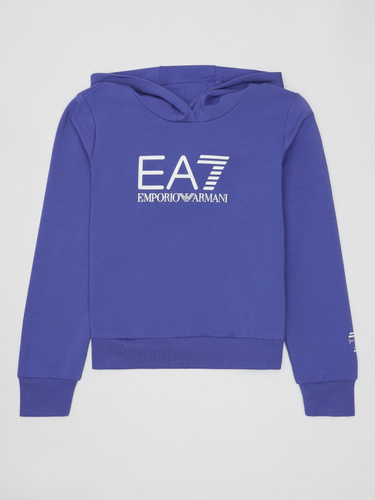 Худи EA7 - купить с доставкой по выгодным ценам в интернет-магазине OZON (866695911)