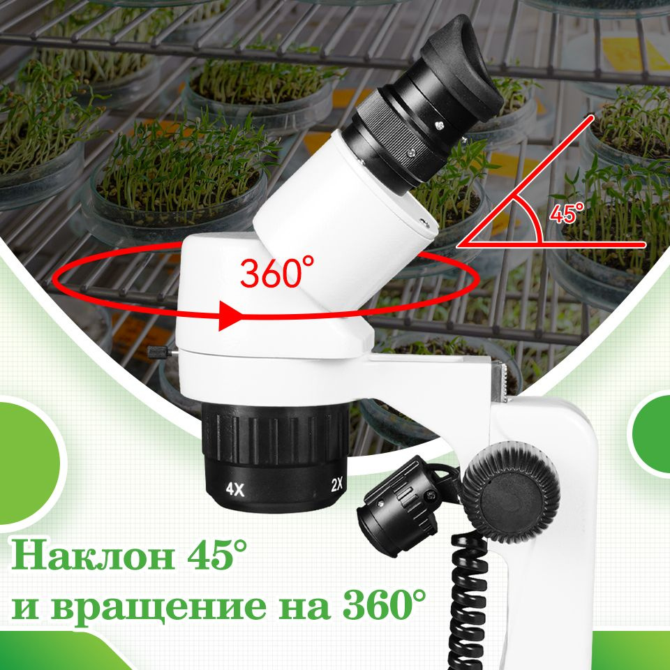 Микроскоп бинокулярный SVBONY SM403 20x 40x 80X стерео купить на OZON ...