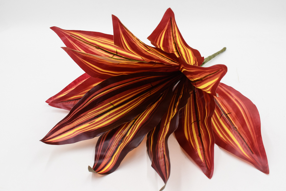 ELKI_PALKI.RND Цветы поштучно - купить с доставкой по выгодным ценам в ...