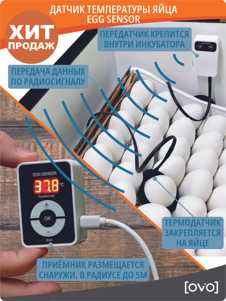Датчик температуры яйца для инкубатора EGG SENSOR - купить с доставкой ...