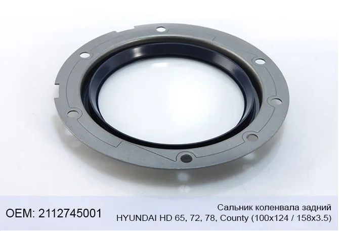 Сальник коленвала 100*124*15 задний Mitsubishi Canter/Fuso (HYUNDAI-KIA ...