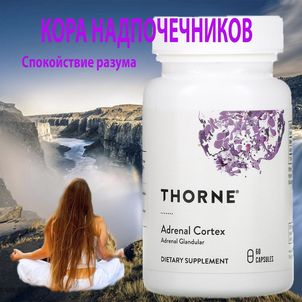 Кора надпочечников Adrenal cortex Thorne Research 60 капсул баланс ...