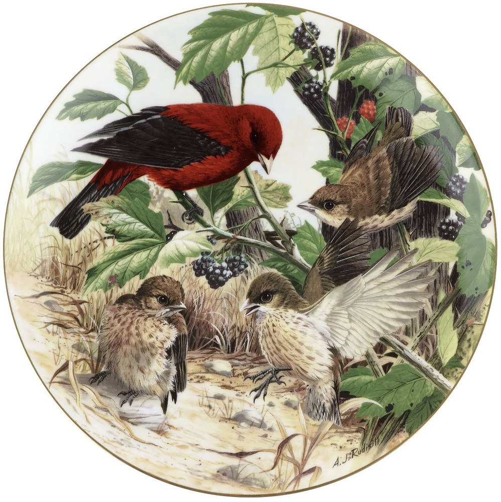 Декоративная тарелка на стену Алая пиранга учит птенцов летать фарфор Limoges Франция