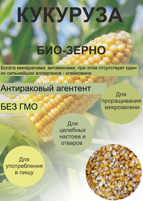 Кукуруза для проращивания, настоев и отваров, микрозелень - купить с ...