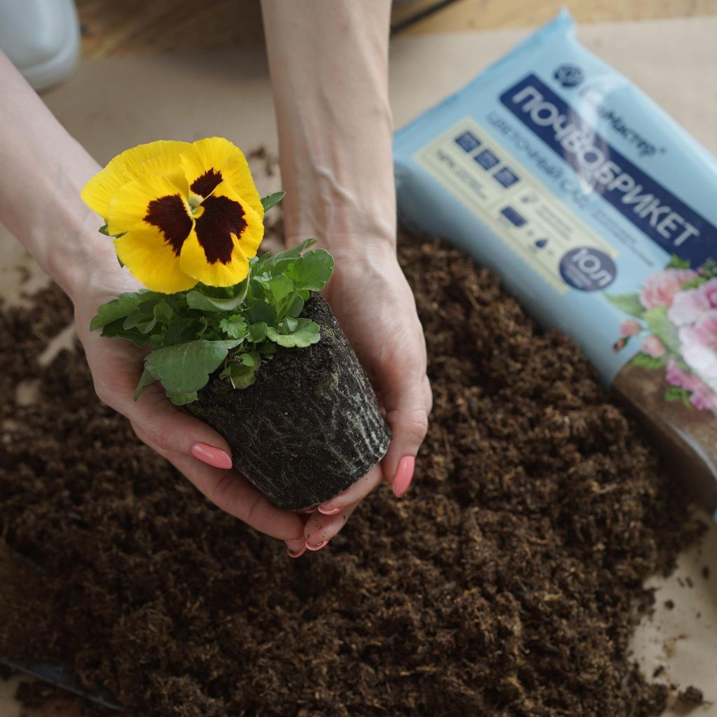 Грунт, земля для цветов Яркая бегония, 10 шт по 5л купить c доставкой ...