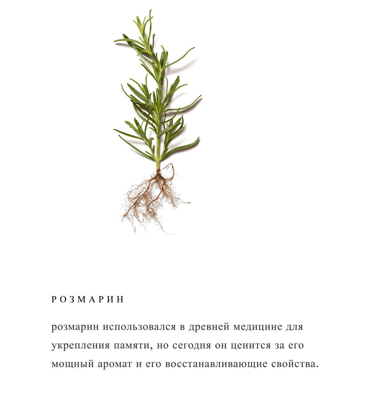 Гель для душа RITUALS (Ритуалс), парфюмированная гель-пенка "The ritual ...