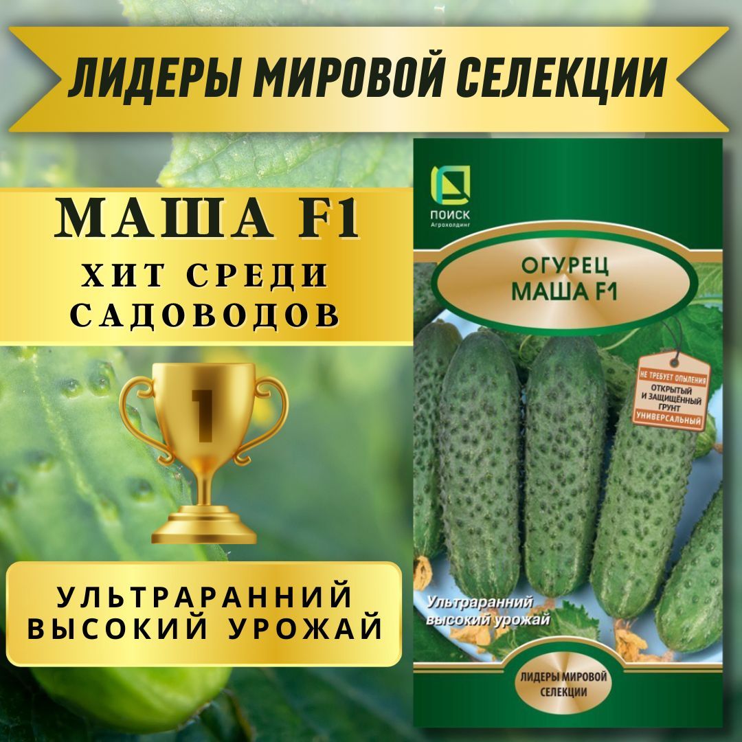 Огурцы ПОИСК Агрохолдинг lidery-ogurec_зеленый_светло-зеленый - купить ...