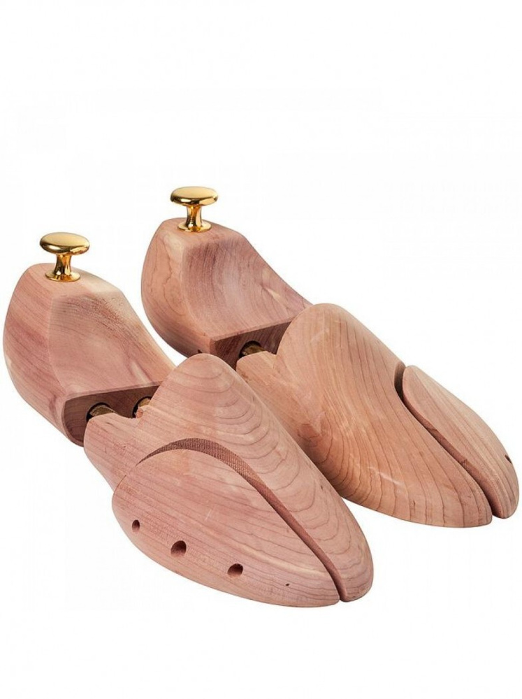 SALRUS Колодки для обуви купить на OZON по низкой цене (2110505494)