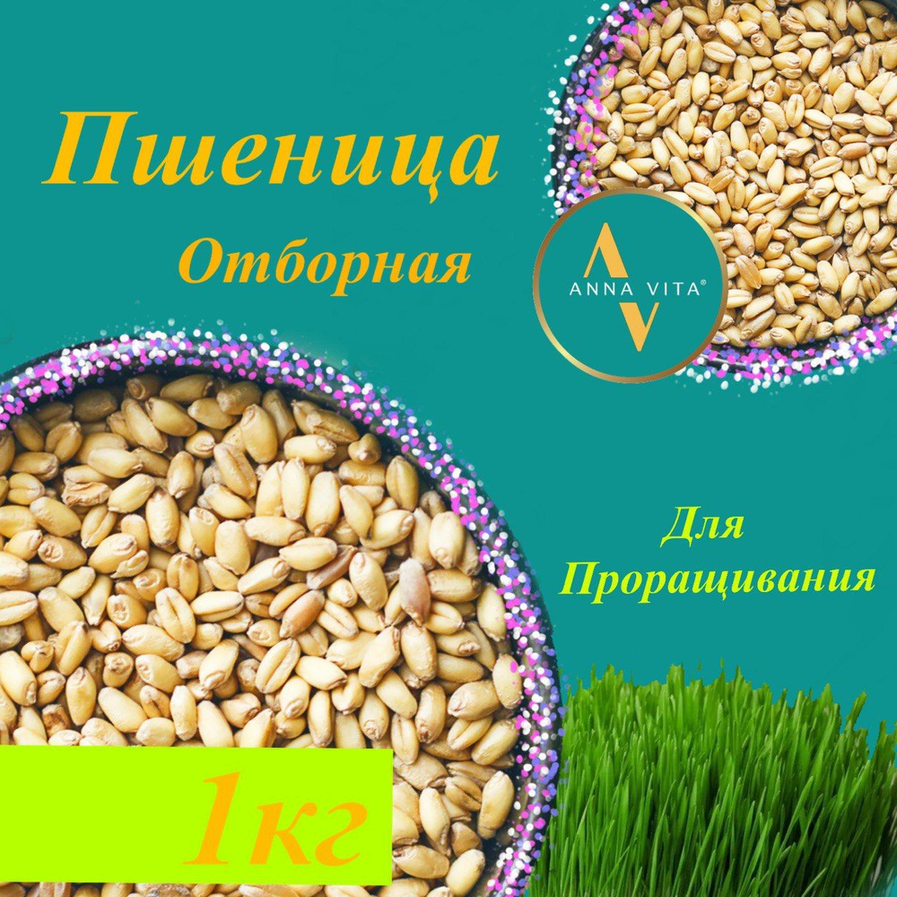 Пшеница отборная Anna Vita 1 кг для проращивания купить с доставкой