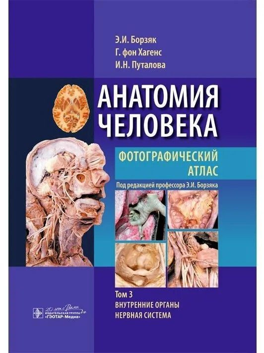 Анатомия человека. Фотографический атлас в 3т. - Т.3 Внутренние органы ...