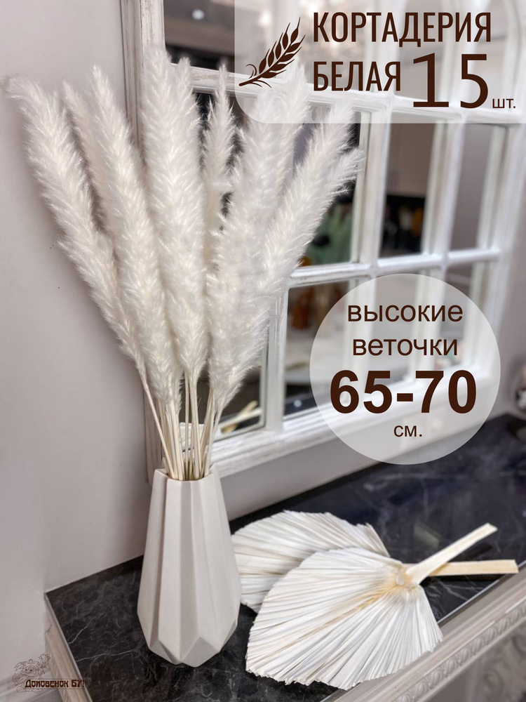 Сухоцветы Домовенок БУ Пампасная трава 65 см 300 гр 15 шт купить по