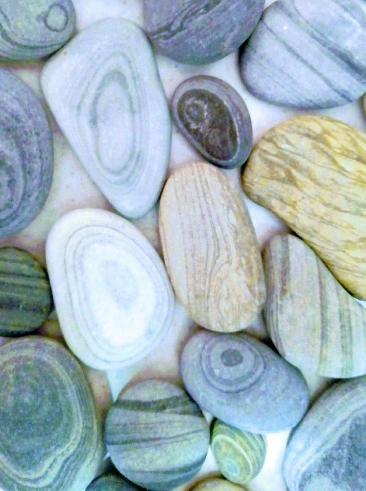 Морская галька с узором для аквариума и террариума 1кг. - купить с ...