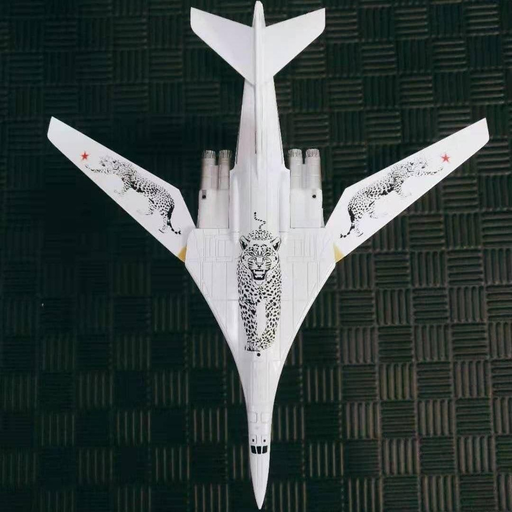 Модель самолета ТУ-160(TU-160, Белый лебедь),масштаб 1:200, несколько ...